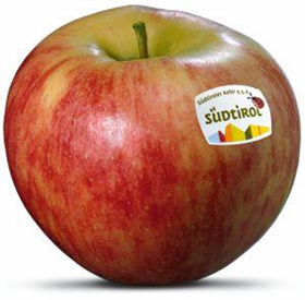Elstar from South Tyrol: this apple variety is pleasantly sweet sour.