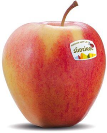 Pinova: a South Tyrolean apple variety tasting of oranges and bananas.